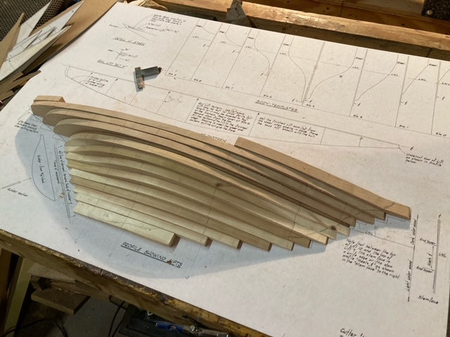 Half Model Plan MINERVA